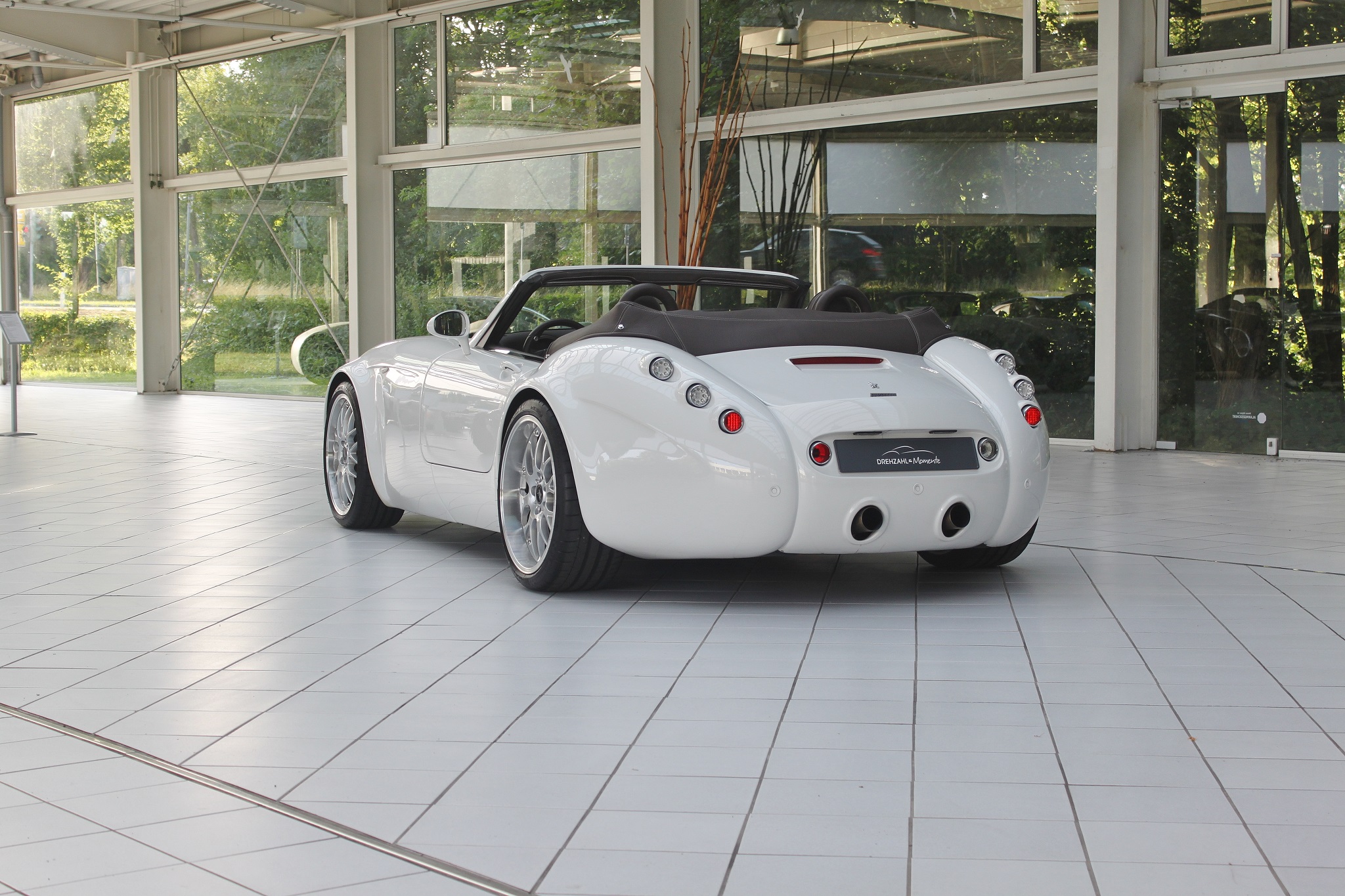 Drehzahl & Momente | Wiesmann Roadster MF4