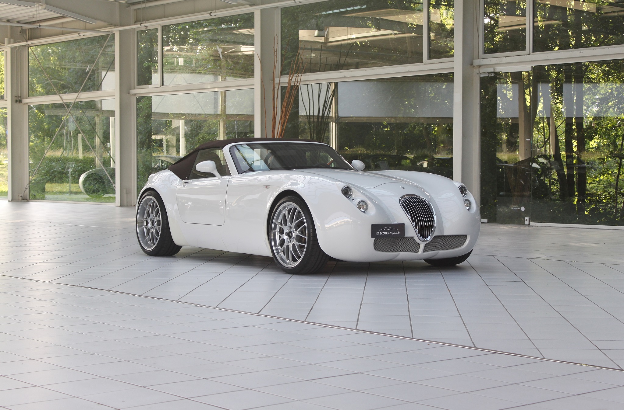 Drehzahl & Momente | Wiesmann Roadster MF4
