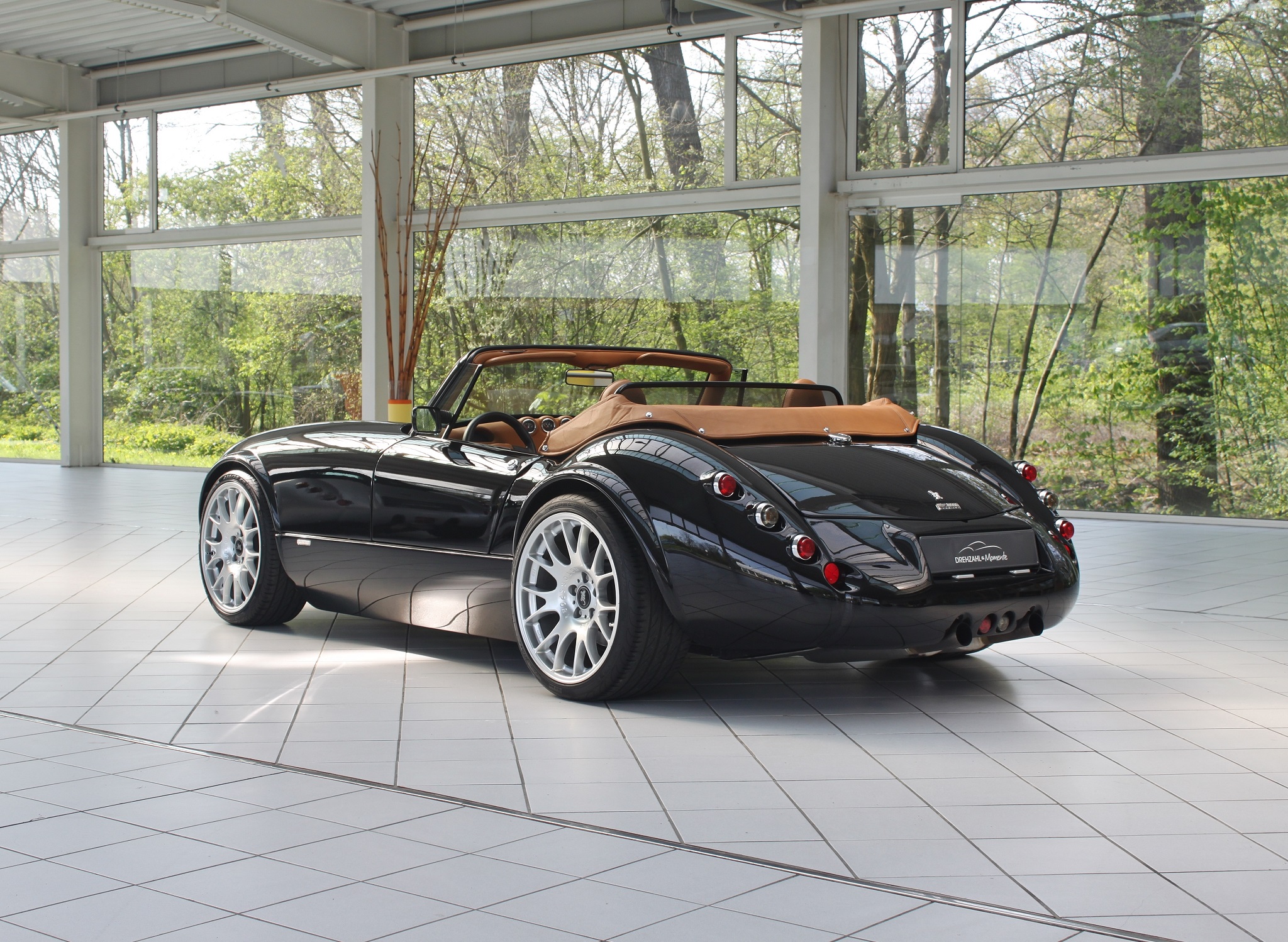 Drehzahl & Momente | Wiesmann Roadster MF3