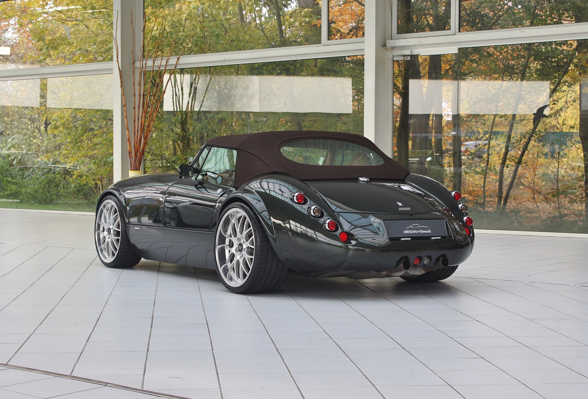 Drehzahl & Momente | Wiesmann Roadster MF3