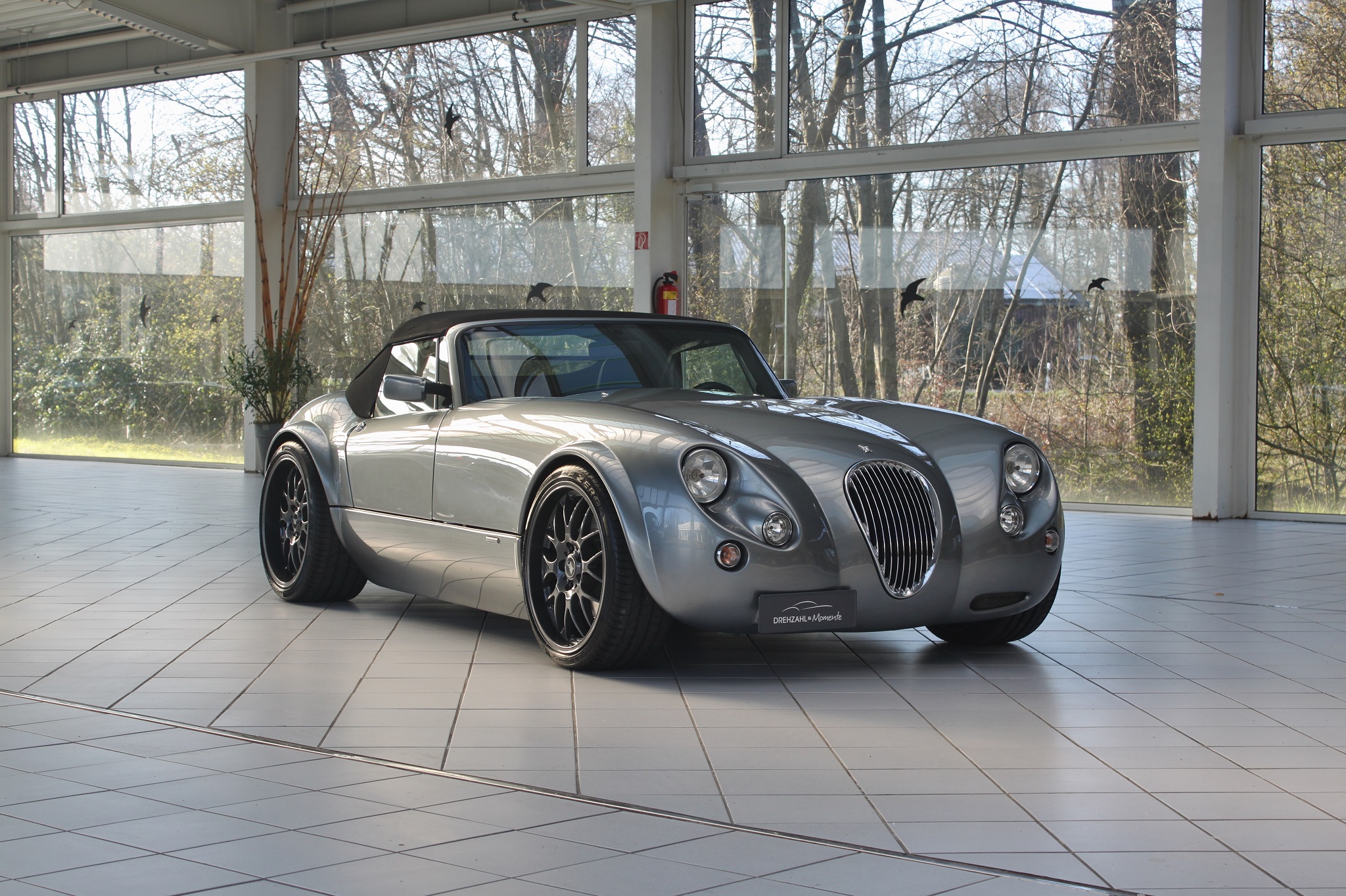 Drehzahl & Momente | Wiesmann Roadster MF3