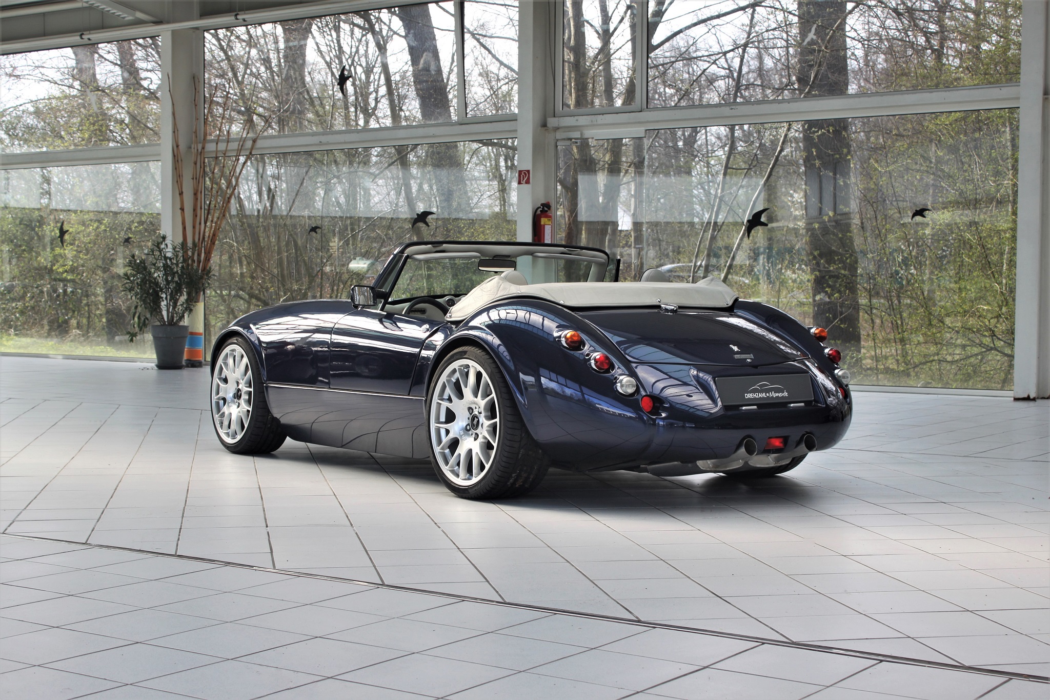 Drehzahl & Momente | Wiesmann Roadster MF3